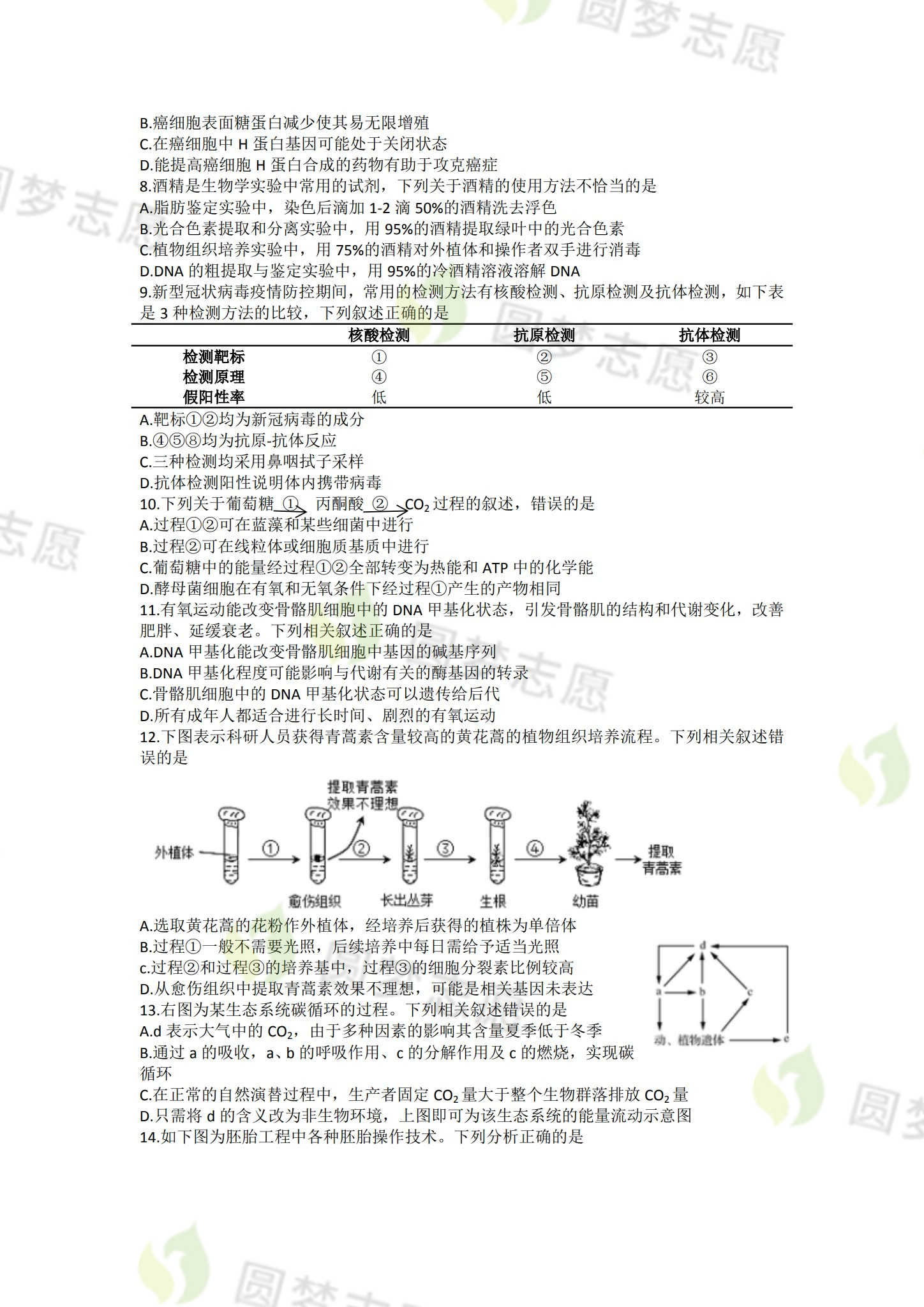 z20名校联盟2023高三第二次联考答案及试卷各科汇总